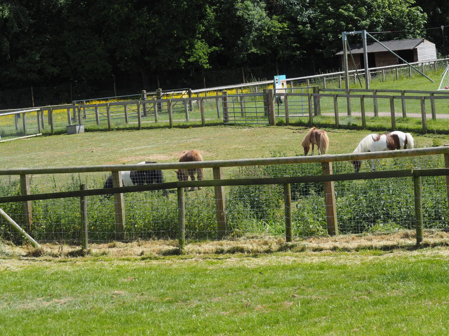 LD Project Visits Thrift Farm – BuDS